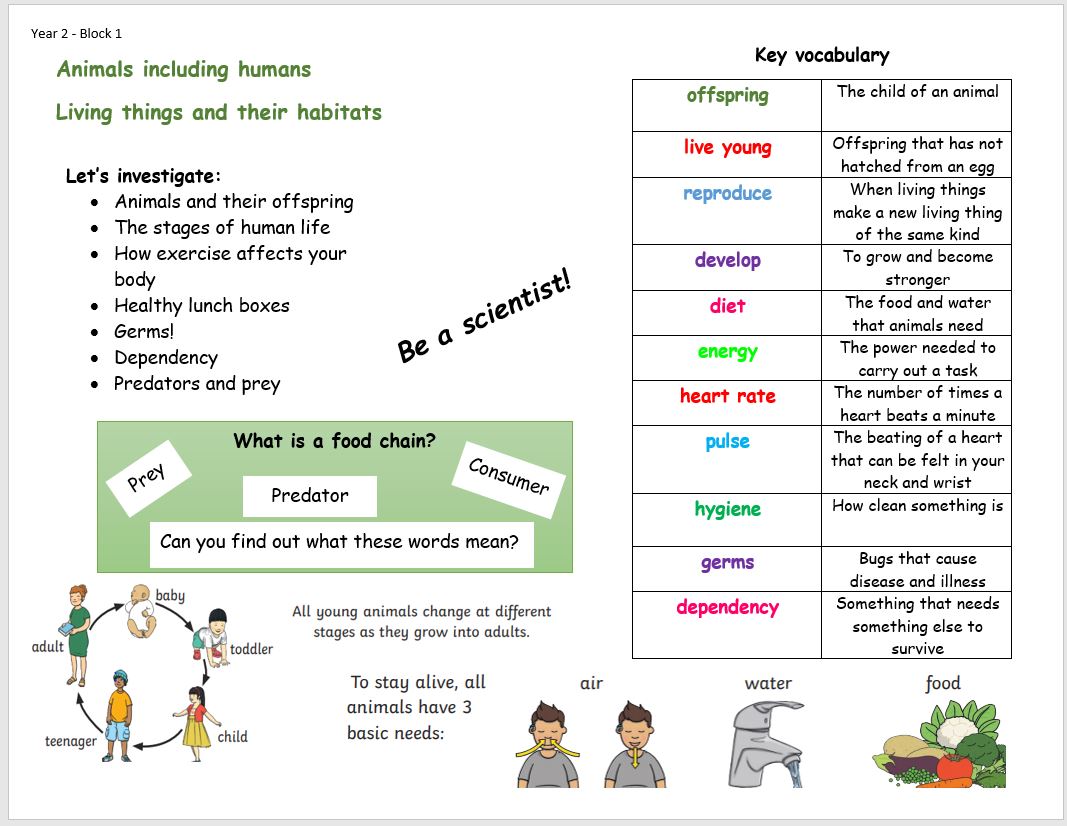 year 2 science | Burnham on Crouch Primary School