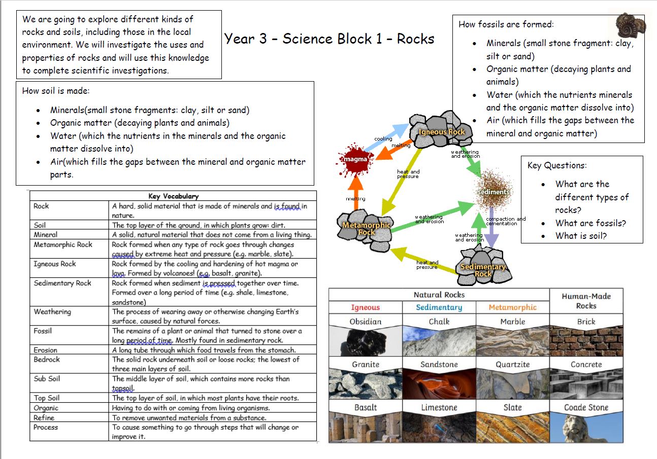 Year 3 science 1 | Burnham on Crouch Primary School