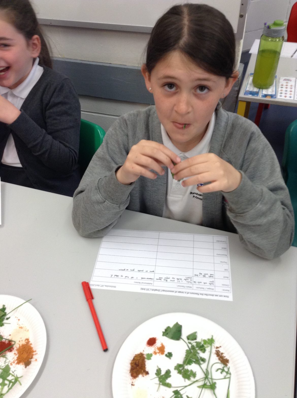 Year 5 – Food tasting | Burnham on Crouch Primary School