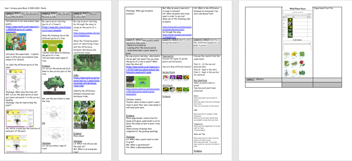 Year 1 Science Knowledge Planner – Plants | Burnham on Crouch Primary ...
