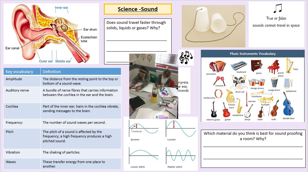 Year 4 Science | Burnham on Crouch Primary School