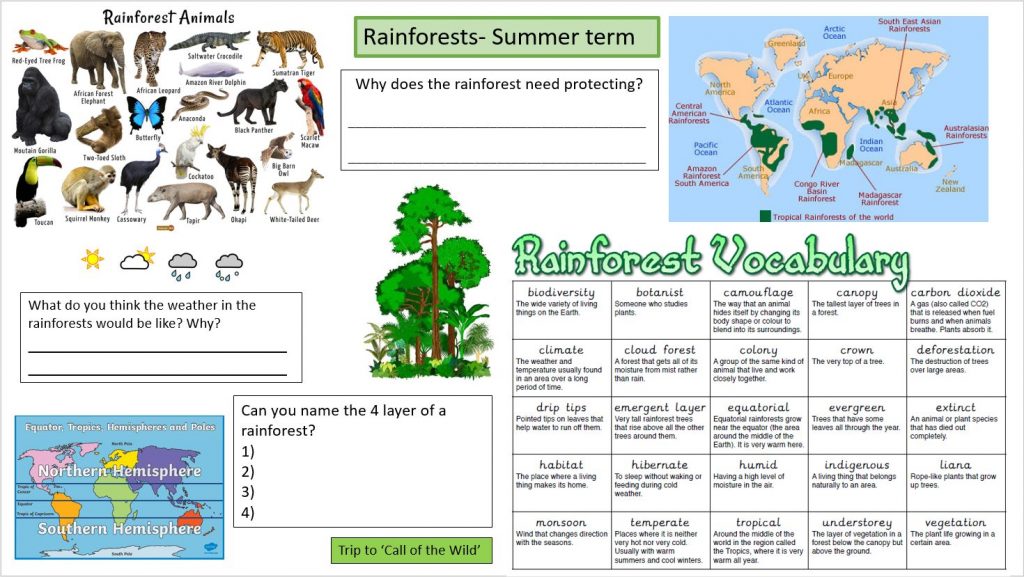 Year 4 rainforests | Burnham on Crouch Primary School