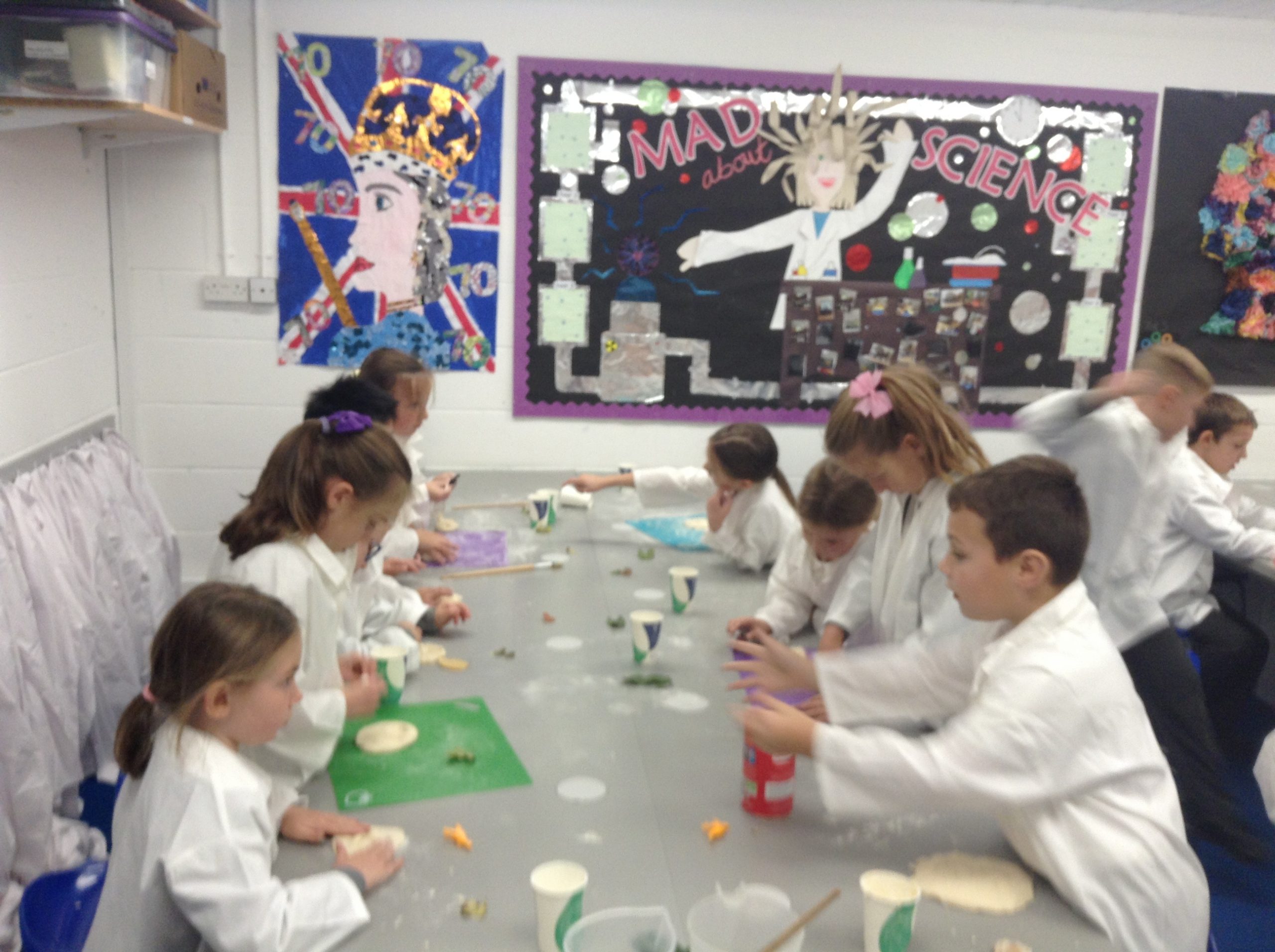 IMG_2254 | Burnham on Crouch Primary School