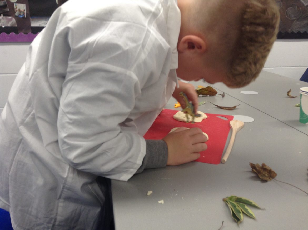 Year 3 – Creating their own Fossils | Burnham on Crouch Primary School