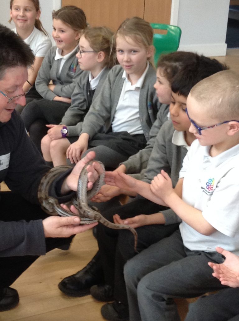 Year 3 Enrichment Day | Burnham on Crouch Primary School