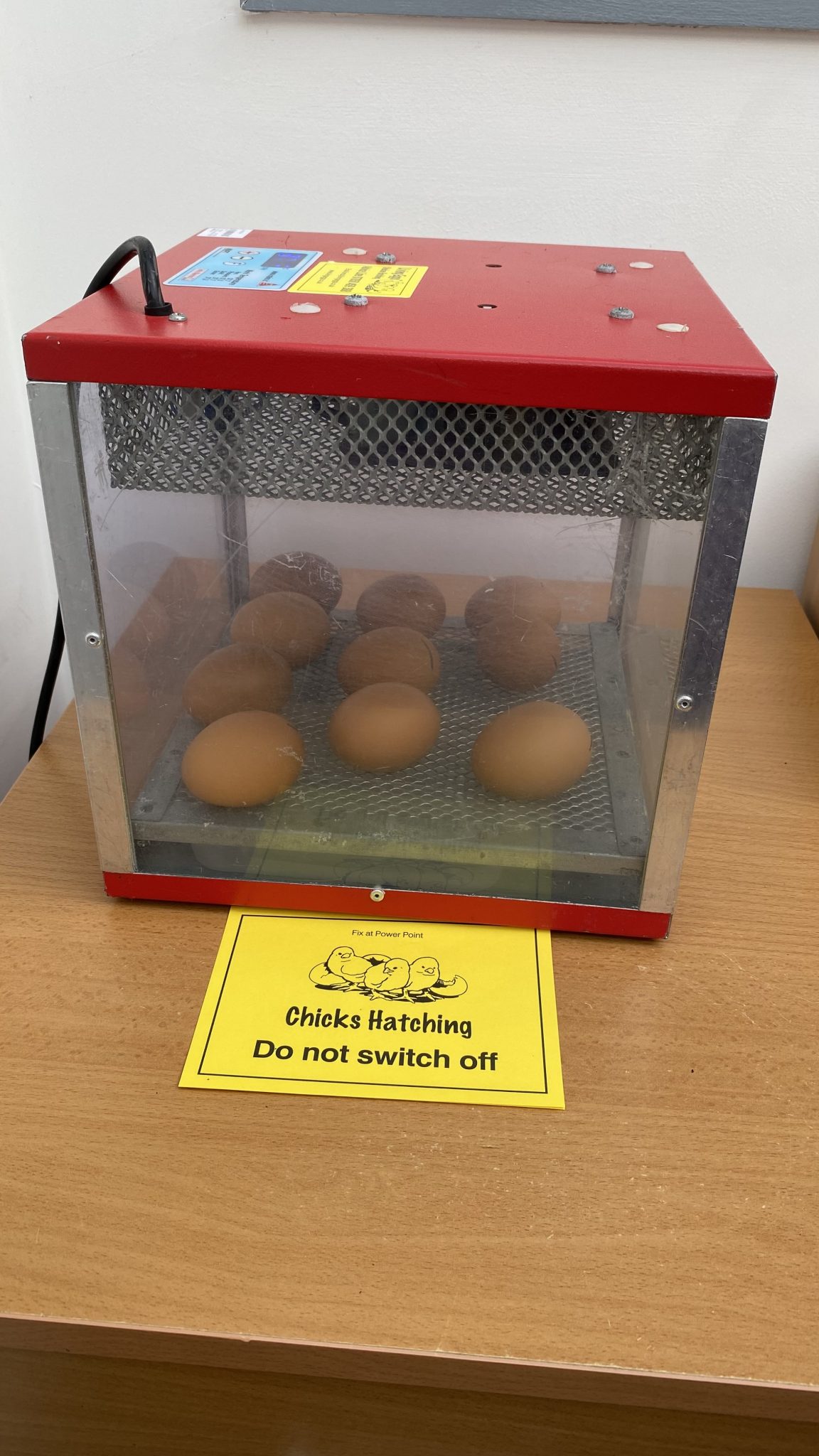 Science – Living Eggs Project | Burnham on Crouch Primary School