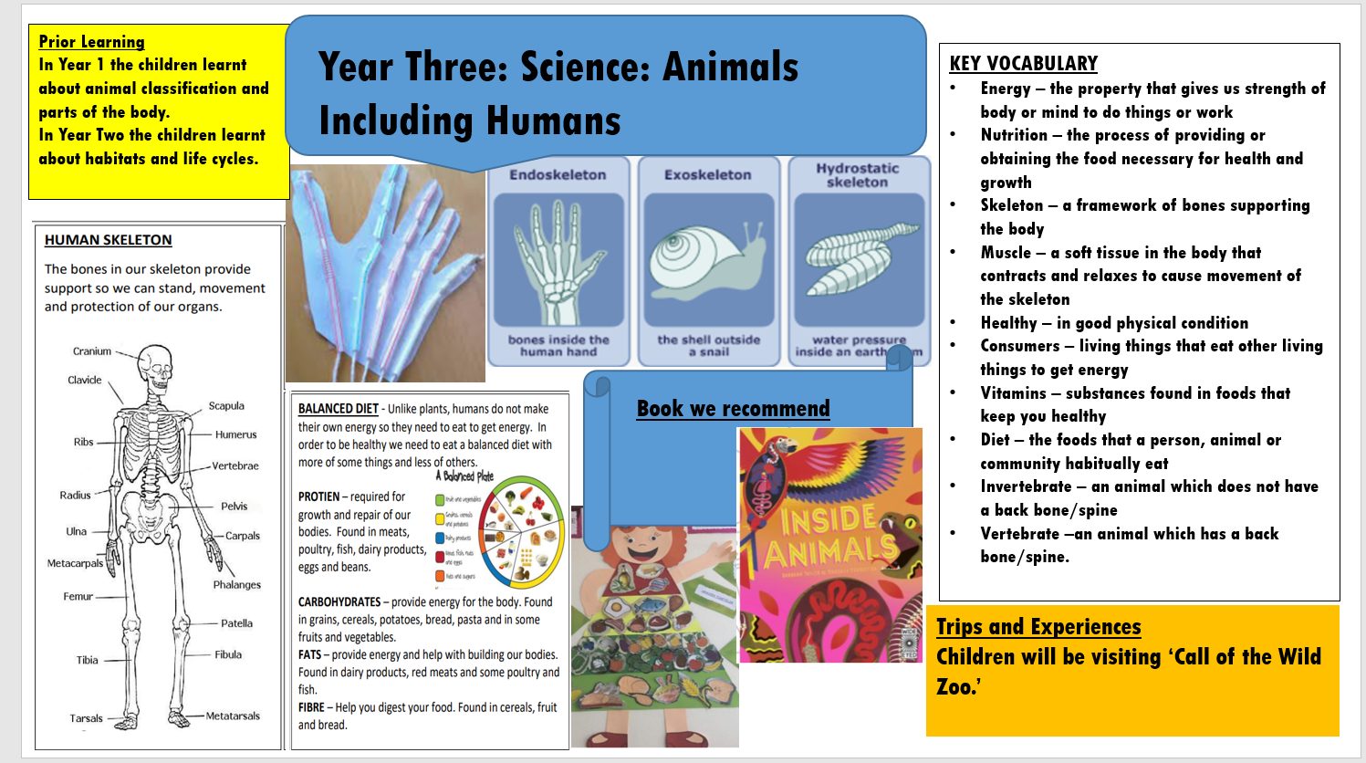 Year 3 Science Knowledge Planner | Burnham on Crouch Primary School