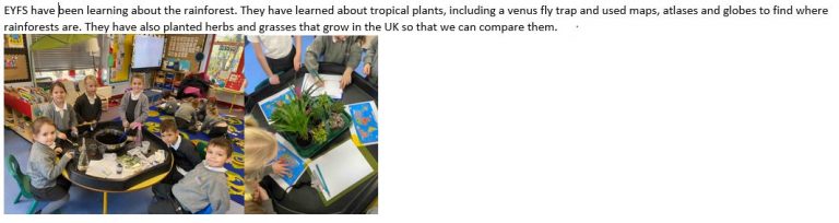 EYFS rainforest | Burnham on Crouch Primary School