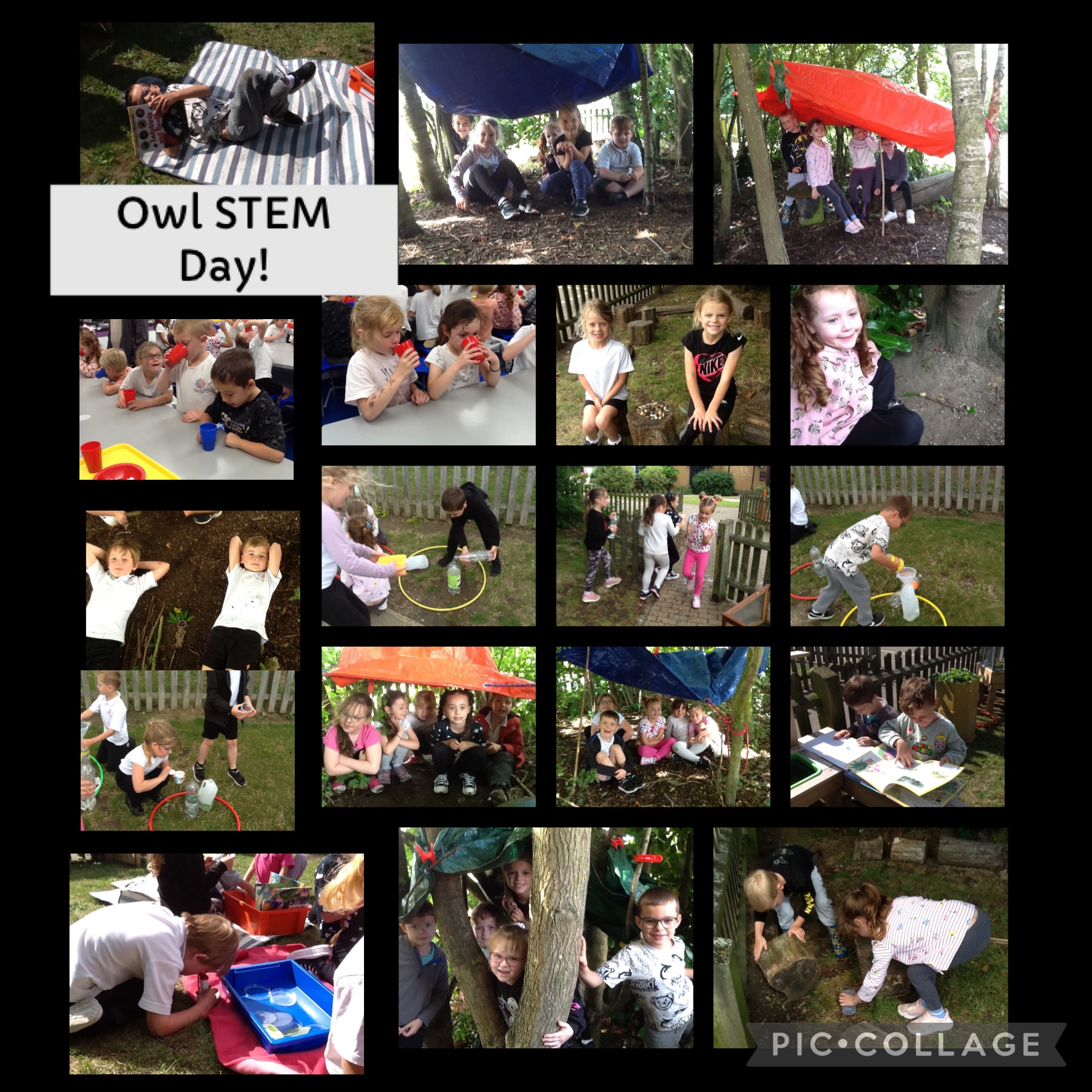 Owl STEM | Burnham on Crouch Primary School
